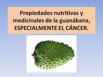La Guanábana y sus propiedades Medicinales